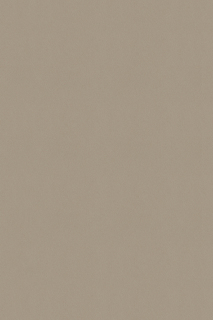 Stratifié GP8 - Egger - F784 Laiton brossé ST20 (Deepskin Linear ...